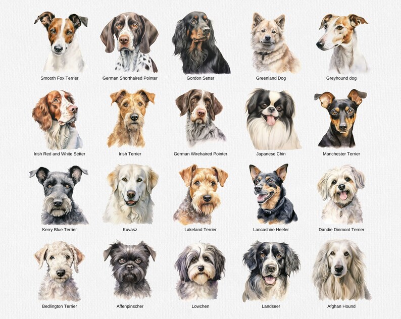 Dog Breeds Clipart Bundle 100 Types of Breeds Watercolor - Etsy
