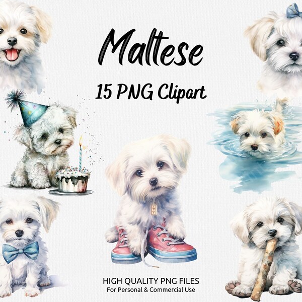 Maltese Puppy - Etsy