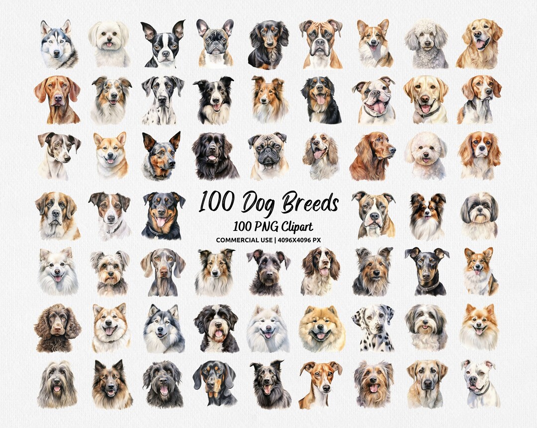 Dog Breeds Clipart Bundle 100 Types of Breeds Watercolor - Etsy