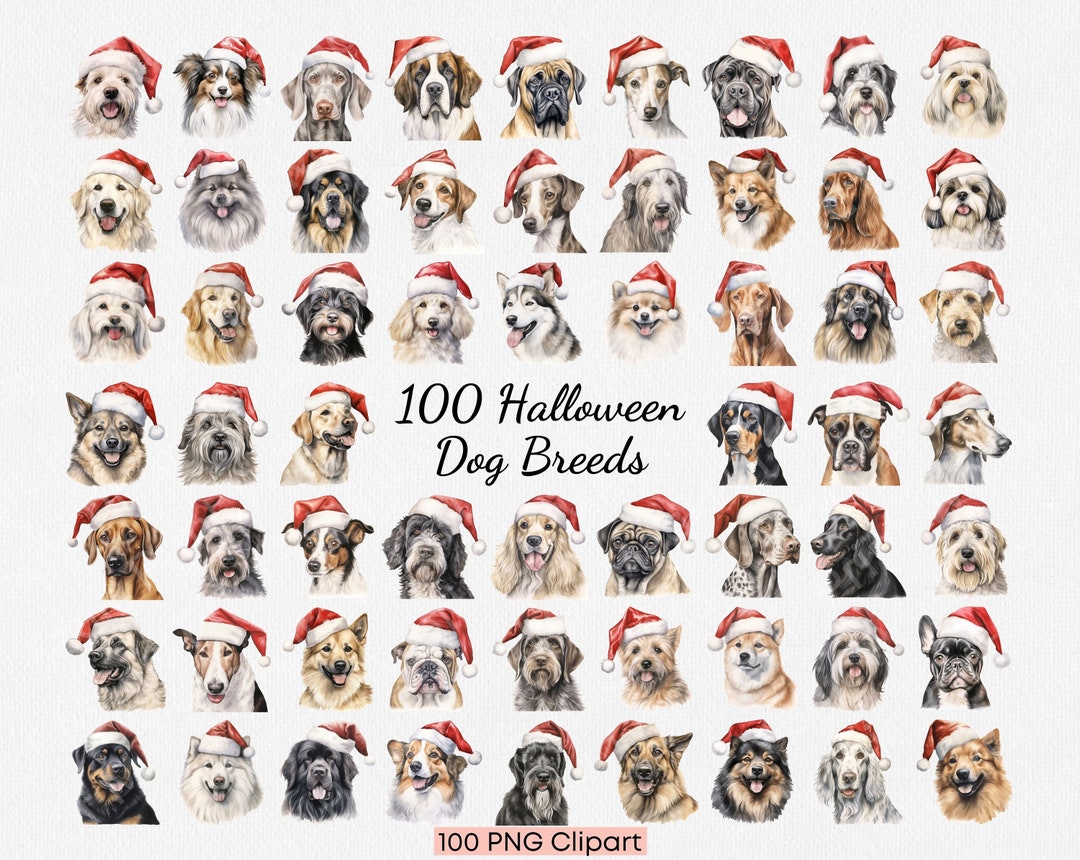 Christmas Dog Breeds Clipart Bundle 100 Types of Breeds, Watercolor ...