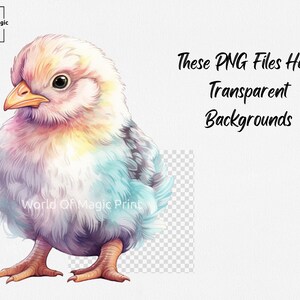 Pastel Watercolor Chick Clipart, Cute Baby Chicken, 15 PNG Files for ...