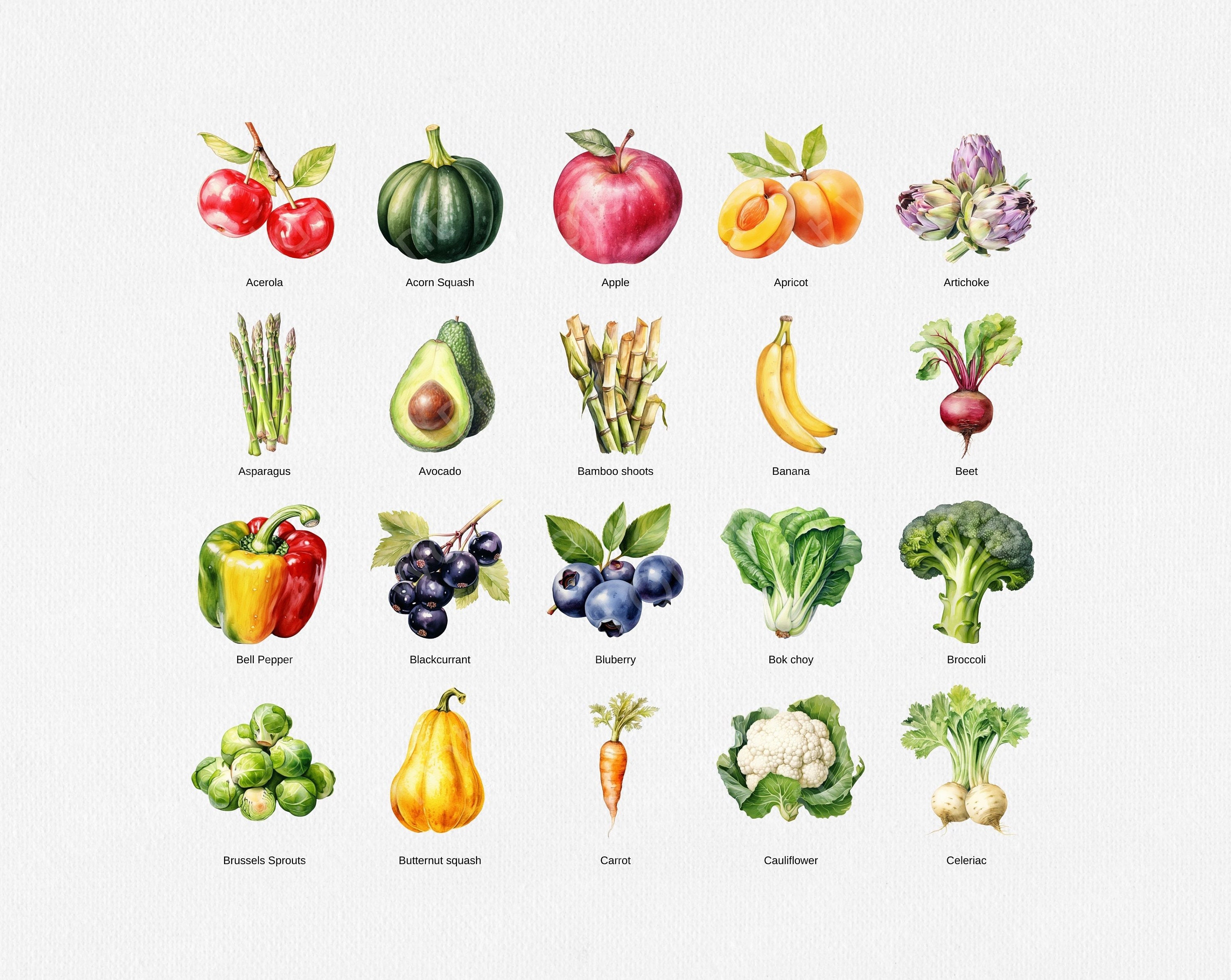 Fruits & Vegetables Clipart, 63 High Quality PNG Watercolor Food Clip ...