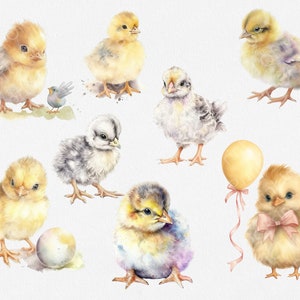 Pastel Watercolor Chick Clipart, Cute Baby Chicken, 15 PNG Files for ...