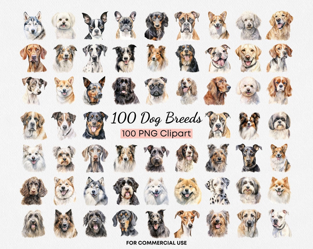 Dog Breeds Clipart Bundle | 100 Types of Breeds, Watercolor Dogs, Dog ...