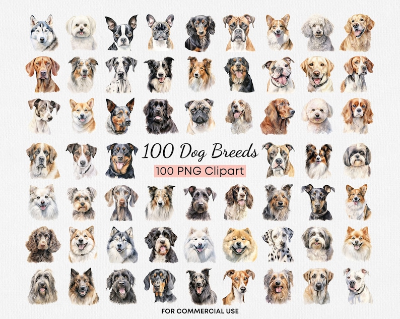 Dog Breeds Clipart Bundle | 100 Types of Breeds, Watercolor Dogs, Dog ...
