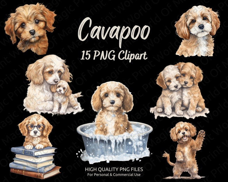 Cavapoo Clipart 15 High Quality PNG Watercolor Clip Art - Etsy
