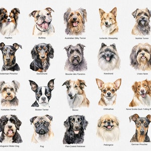Dog Breeds Clipart Bundle | 100 Types of Breeds, Watercolor Dogs, Dog ...