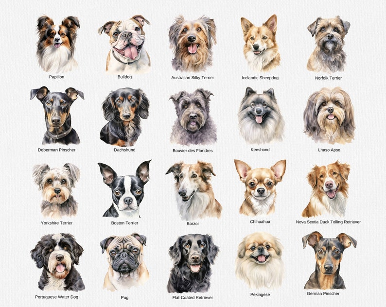 Dog Breeds Clipart Bundle | 100 Types of Breeds, Watercolor Dogs, Dog ...