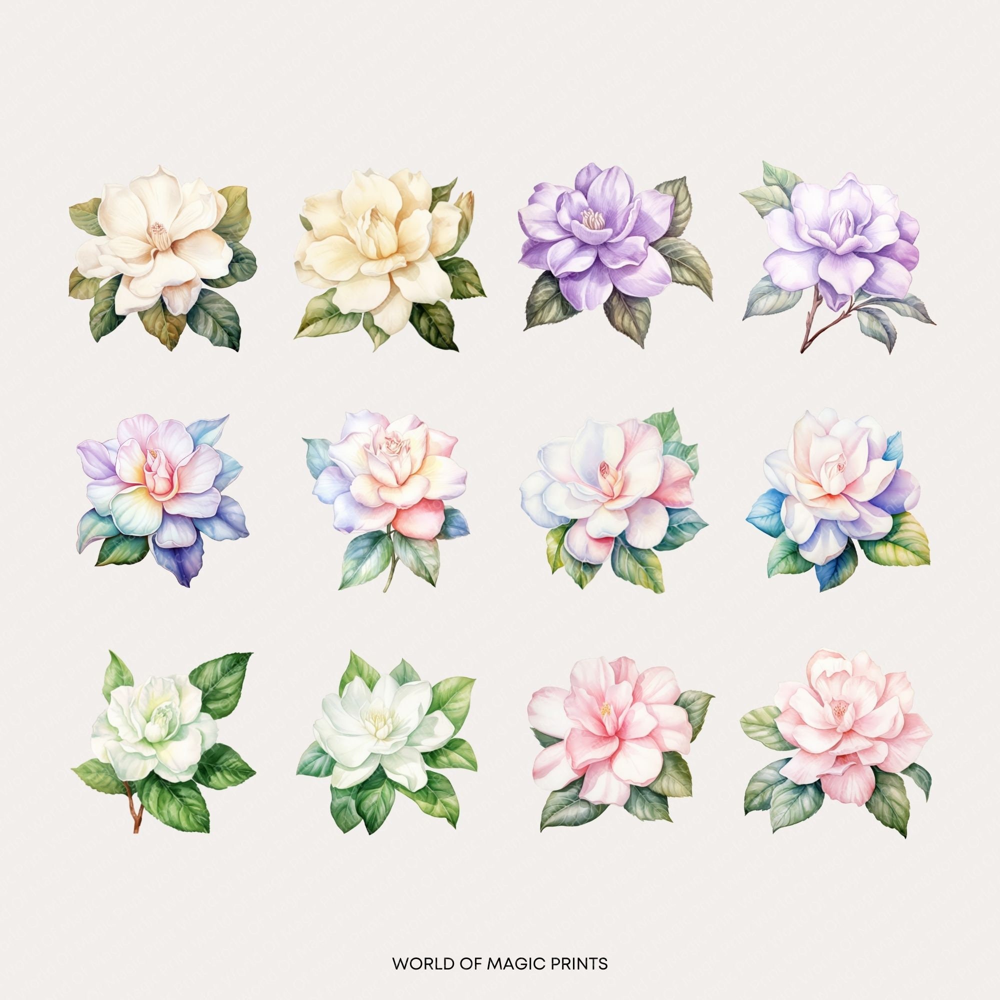 Gardenia Flower PNG, 18 Transparent Clipart Watercolor Gardenia Flowers ...