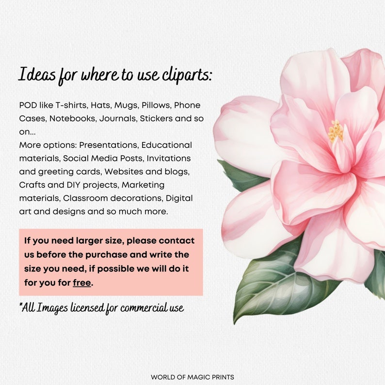 Gardenia Flower PNG, 18 Transparent Clipart Watercolor Gardenia Flowers ...