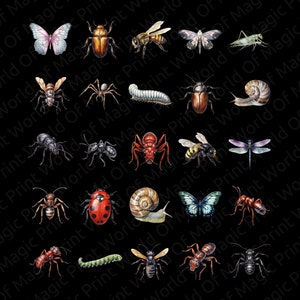 Ants Bugs Clipart, 25 PNG Watercolor Ant Insect Butterfly, Bee Ladybug ...