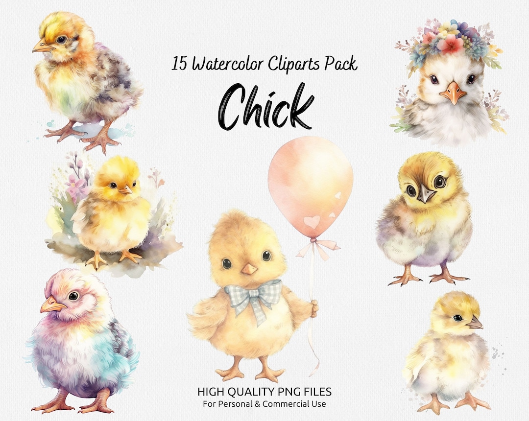 Pastel Watercolor Chick Clipart, Cute Baby Chicken, 15 PNG Files for ...