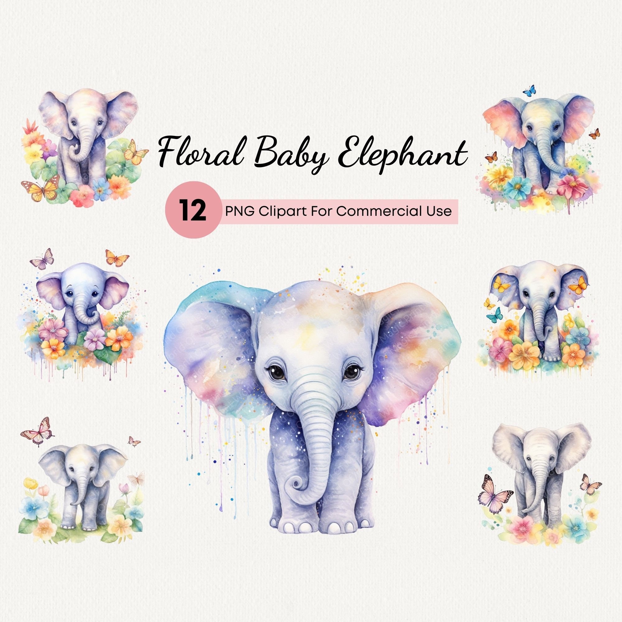 Baby Elephant PNG, 12 High Quality Watercolor Floral Clipart, Cute ...