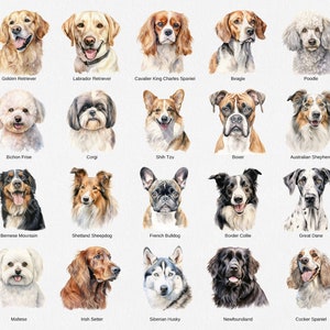 Dog Breeds Clipart Bundle | 100 Types of Breeds, Watercolor Dogs, Dog ...
