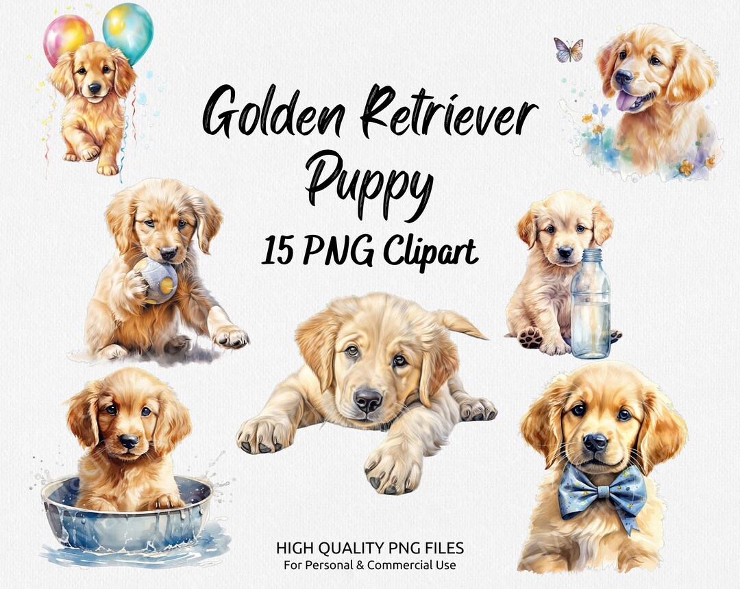 Golden Retriever Clipart 15 PNG of Cute Clipart Puppy Dog Breed ...