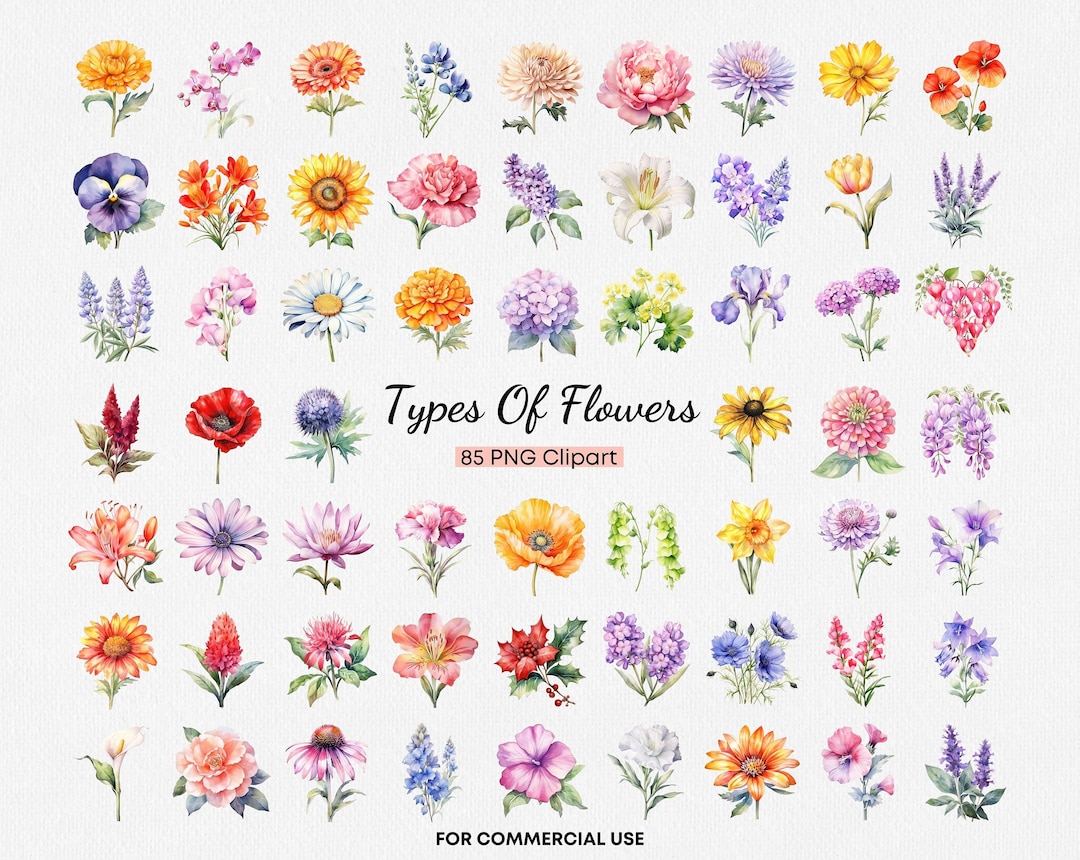 85 Wild Flowers Clipart Mega Bundle Pack, Transparent Pngs Watercolor ...