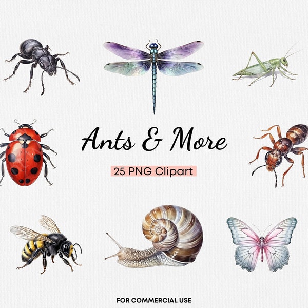 Insect Clipart - Etsy