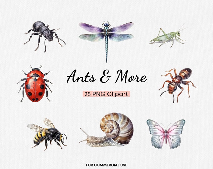 Cute Bugs Clipart, Insects, Spider, Dragonfly, Ant, Fly, Worm, Bees ...