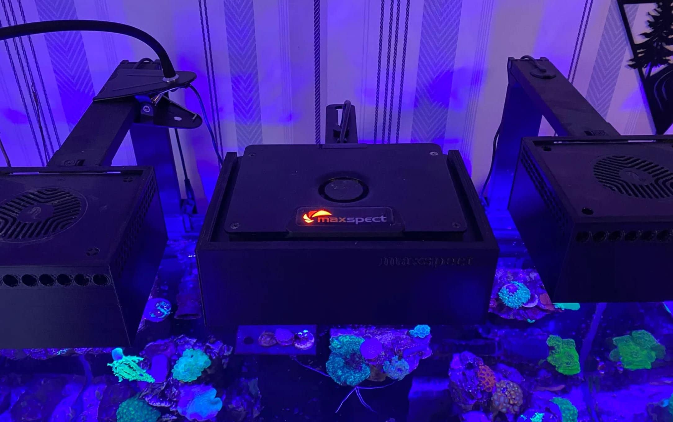 Maxspect Jump LED 65W Seawater Light Protection Light Shade Light ...