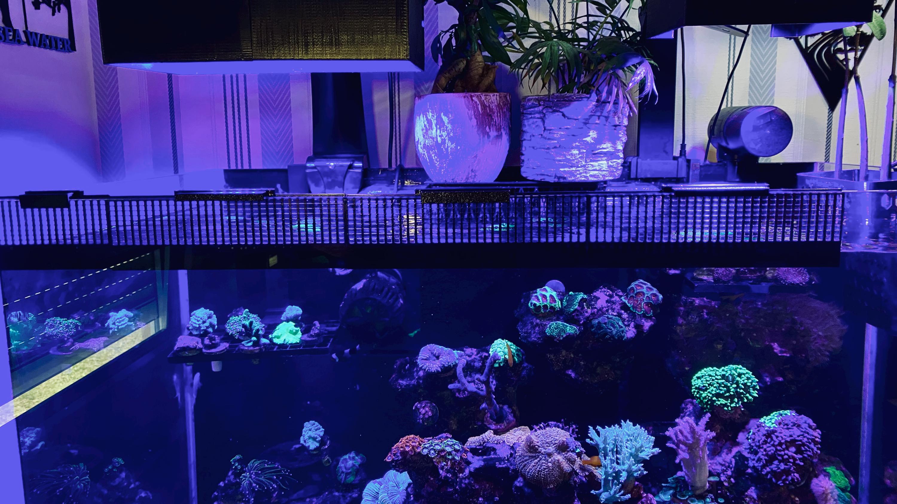 Open Aquarium Edge Water Level Panel Decorative Panel - Seawater ...