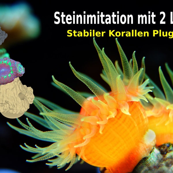 Coral Frag Stand - Etsy