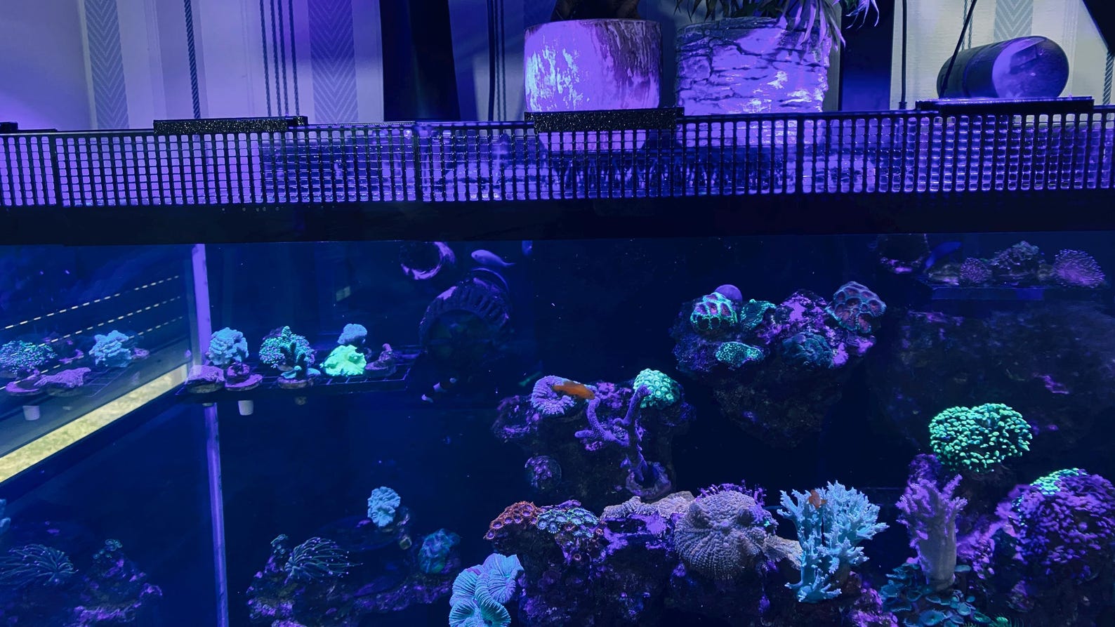 Open Aquarium Edge Water Level Panel Decorative Panel - Seawater ...