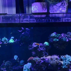 Open Aquarium Edge Water Level Panel Decorative Panel - Seawater ...