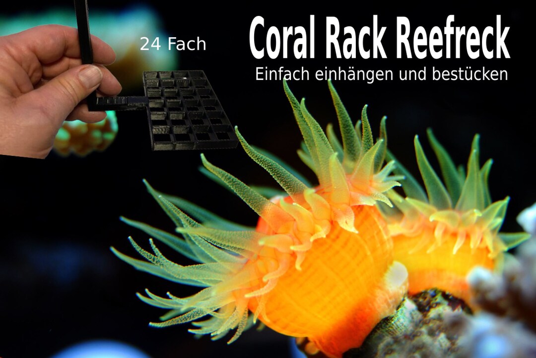 Coral Rack Reefdeck With Hanger - Coral Stand Plug Holder 10 24 40 ...