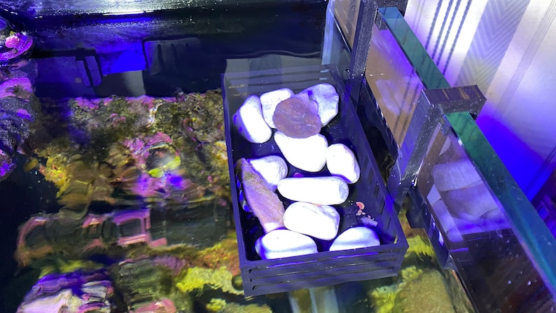 Soft Coral Breeding Box - Mushroom Leather Corals - for Corals That Are ...