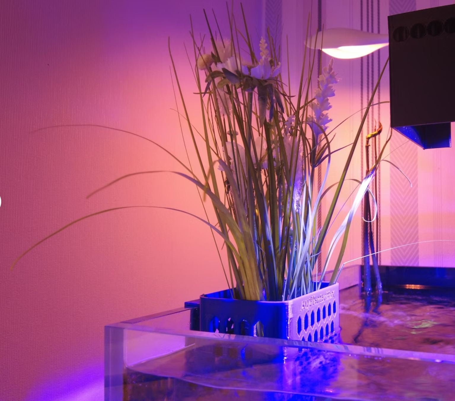 Aquarium Plant Box Plant Basket Box Mangrove Bamboo Reed With Holder ...