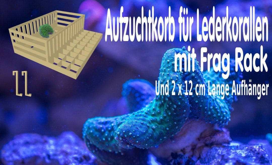 Reef Aquarium Hang on Frag Rack Soft Corals Basket Corals Seawater ...