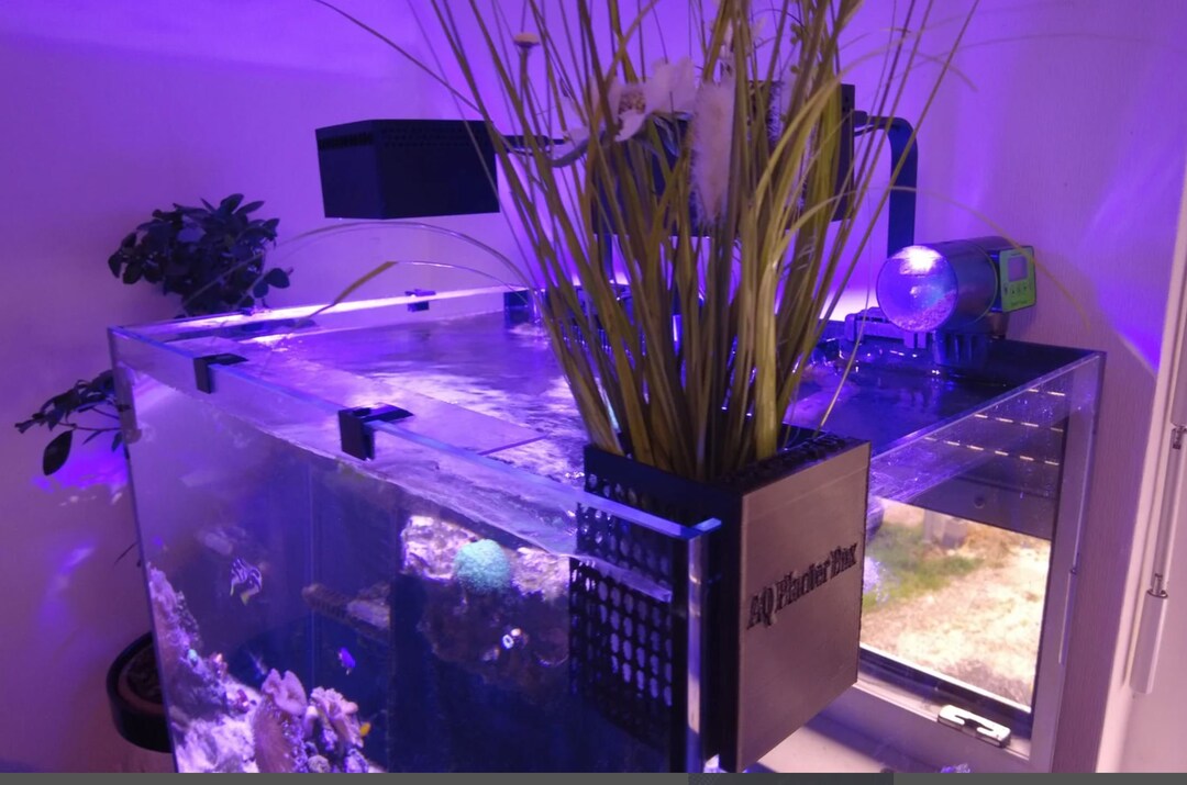 Aquarium Mangrove Plant Box for Sea and Freshwater Aquariums Bamboo ...