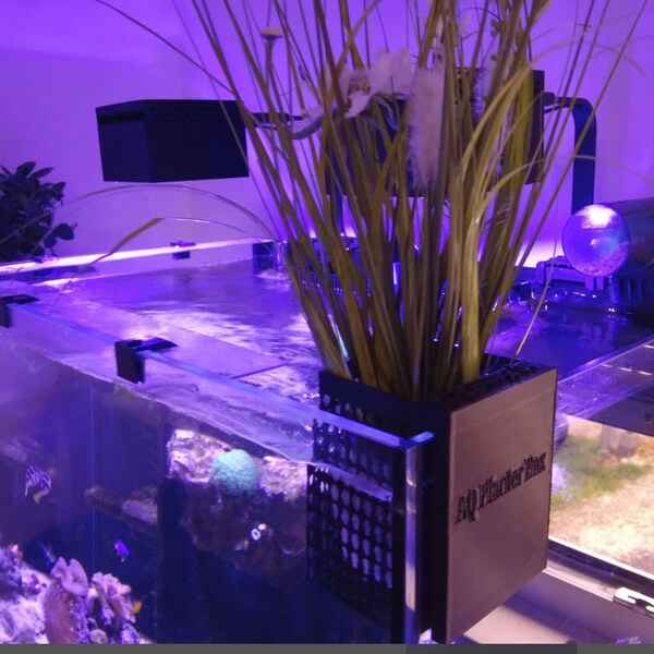 Overflow Box For Aquarium Etsy