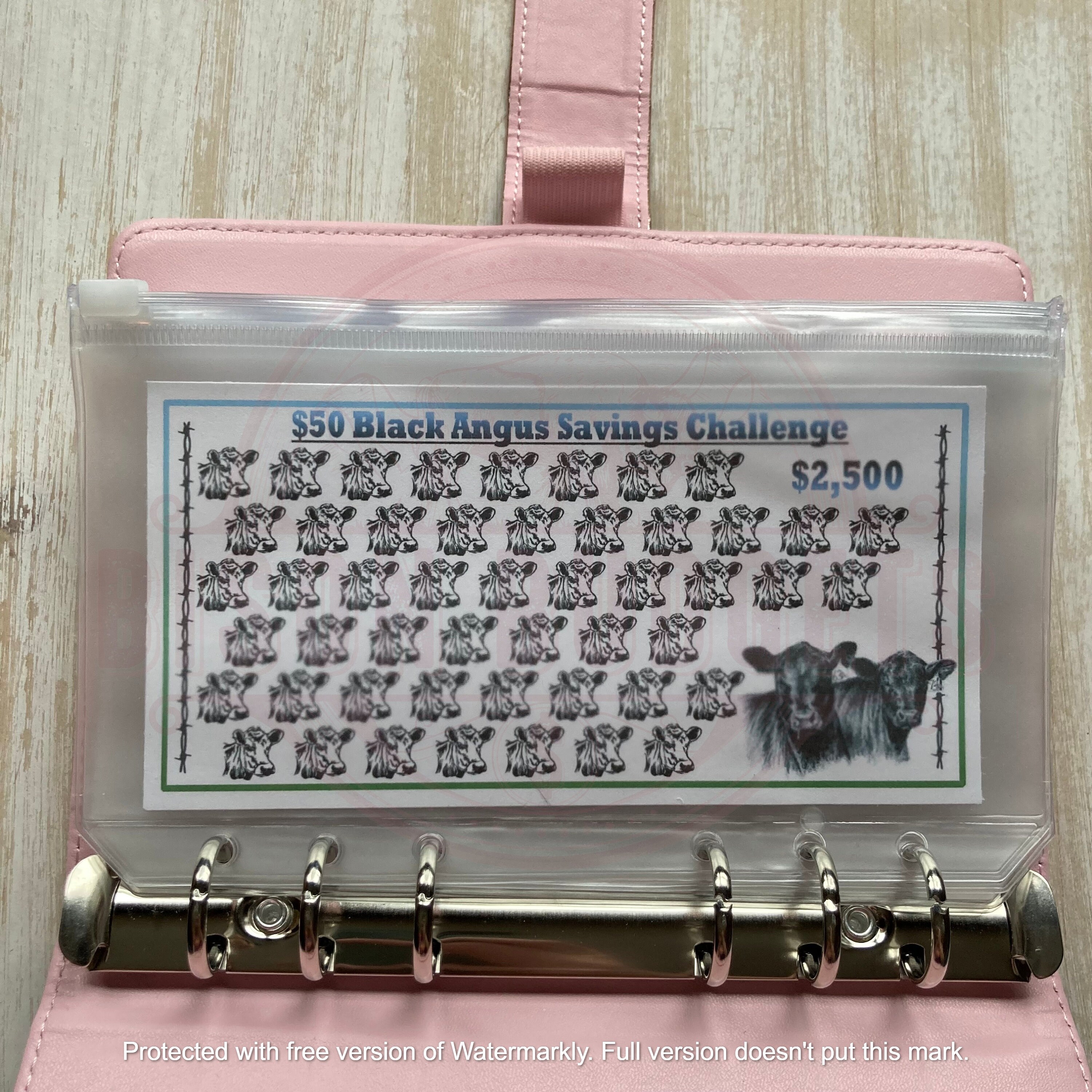 Shipped 50 Dollar A6 Savings Budget Challenge Cash Envelope Binder ...