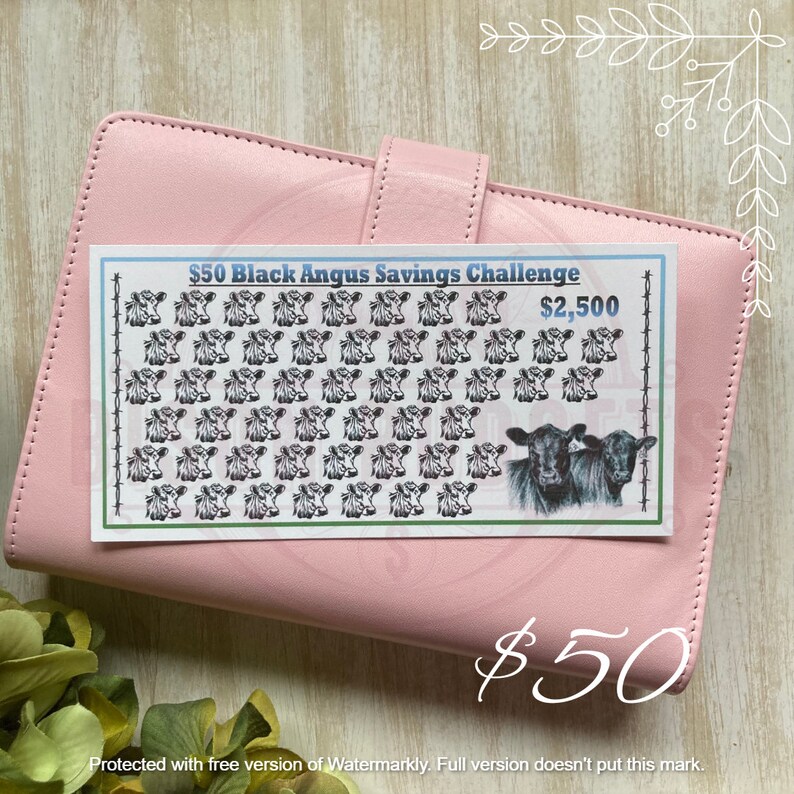 Shipped 50 Dollar A6 Savings Budget Challenge Cash Envelope Binder ...