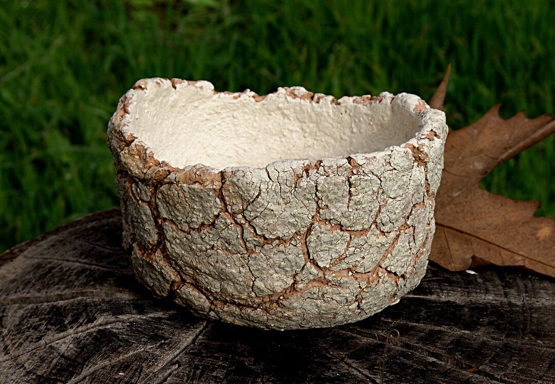 Stoneware Pot for Caudex Plants - Etsy