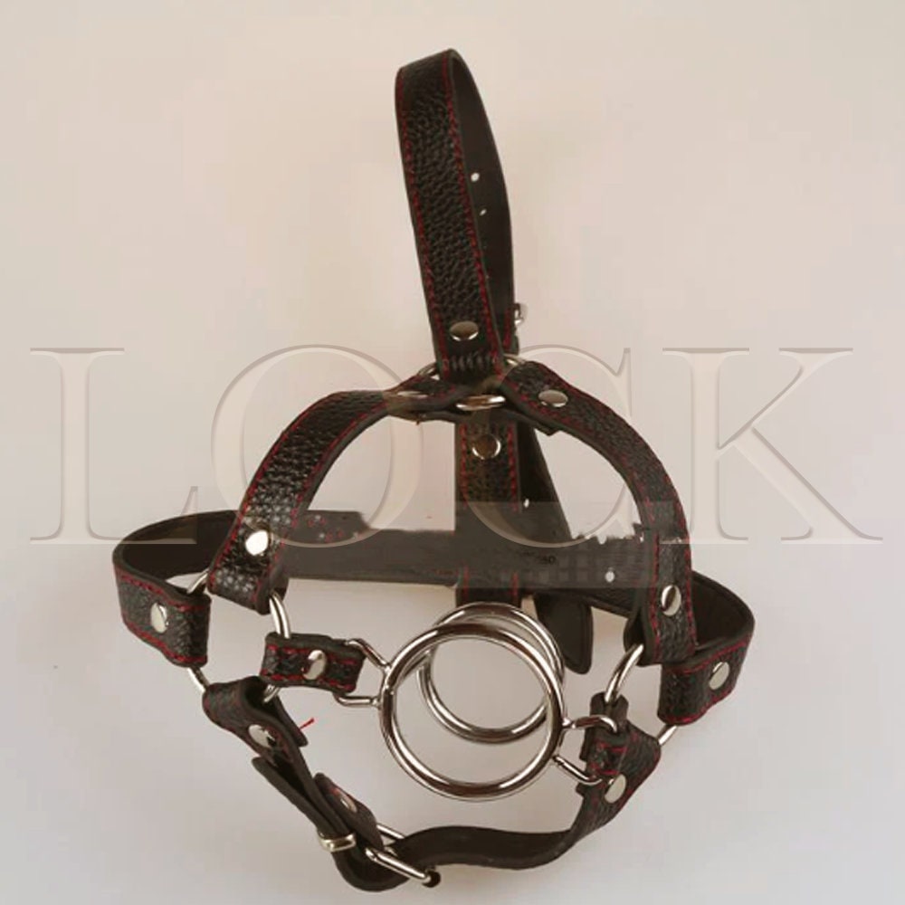 Harness Steel ® Double Ring Gag / Lockshop - Etsy