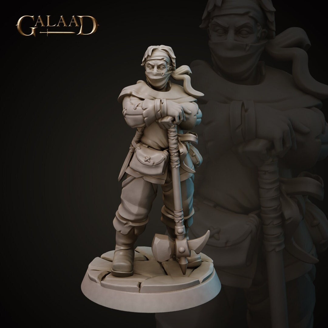 Masked Bandit Galaad Miniatures DND Roleplay Games Miniature Painting ...