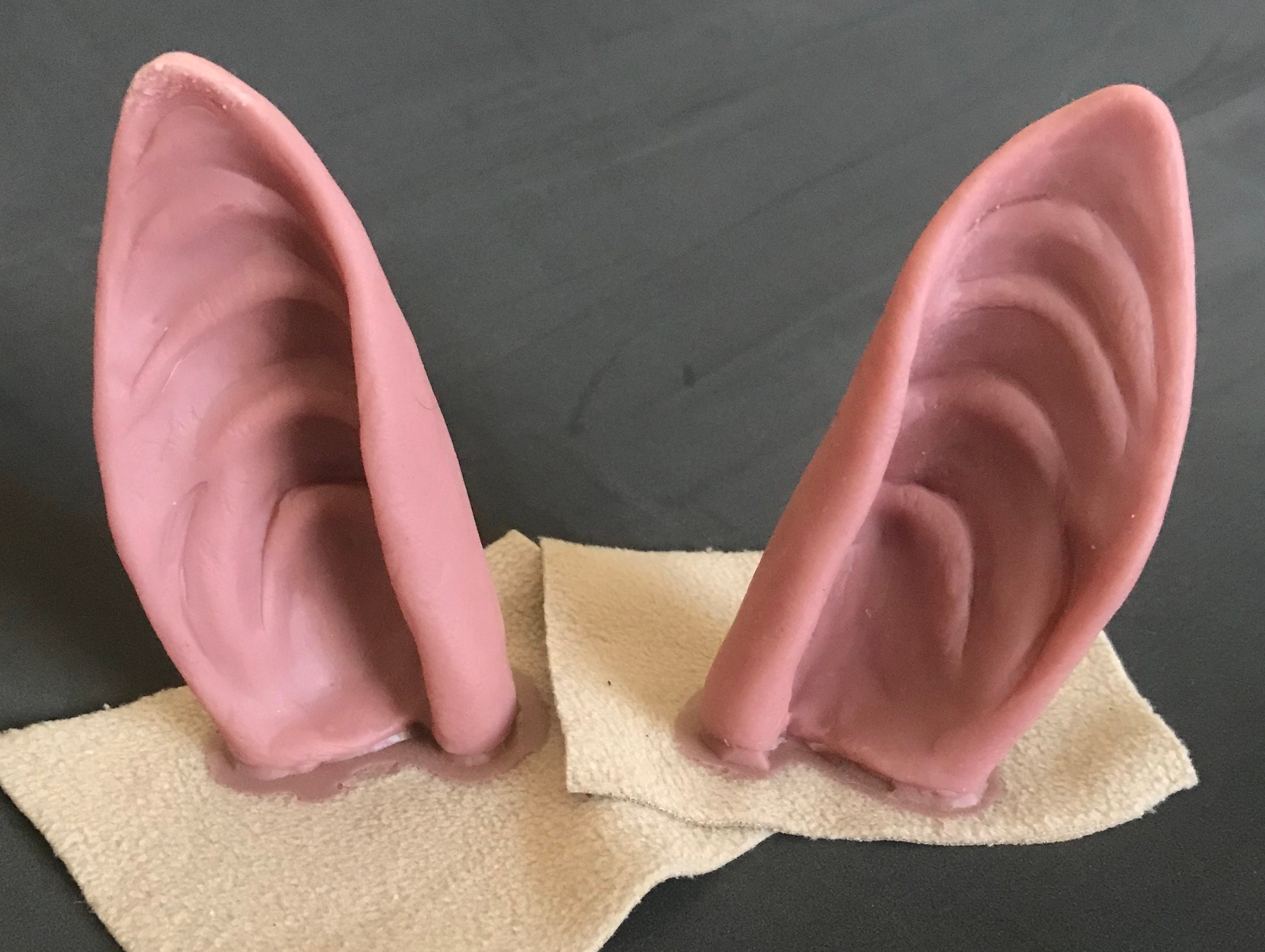 DIY FULL SET Realistic Rodent Resin Head Base With Accessories / Ideal ...