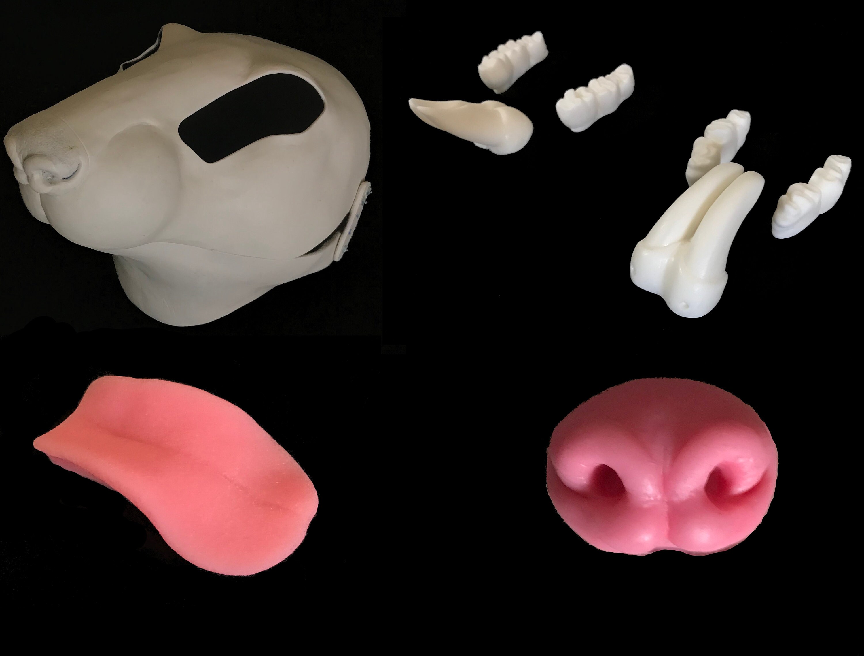 DIY FULL SET Realistic Rodent Resin Head Base With Accessories / Ideal ...