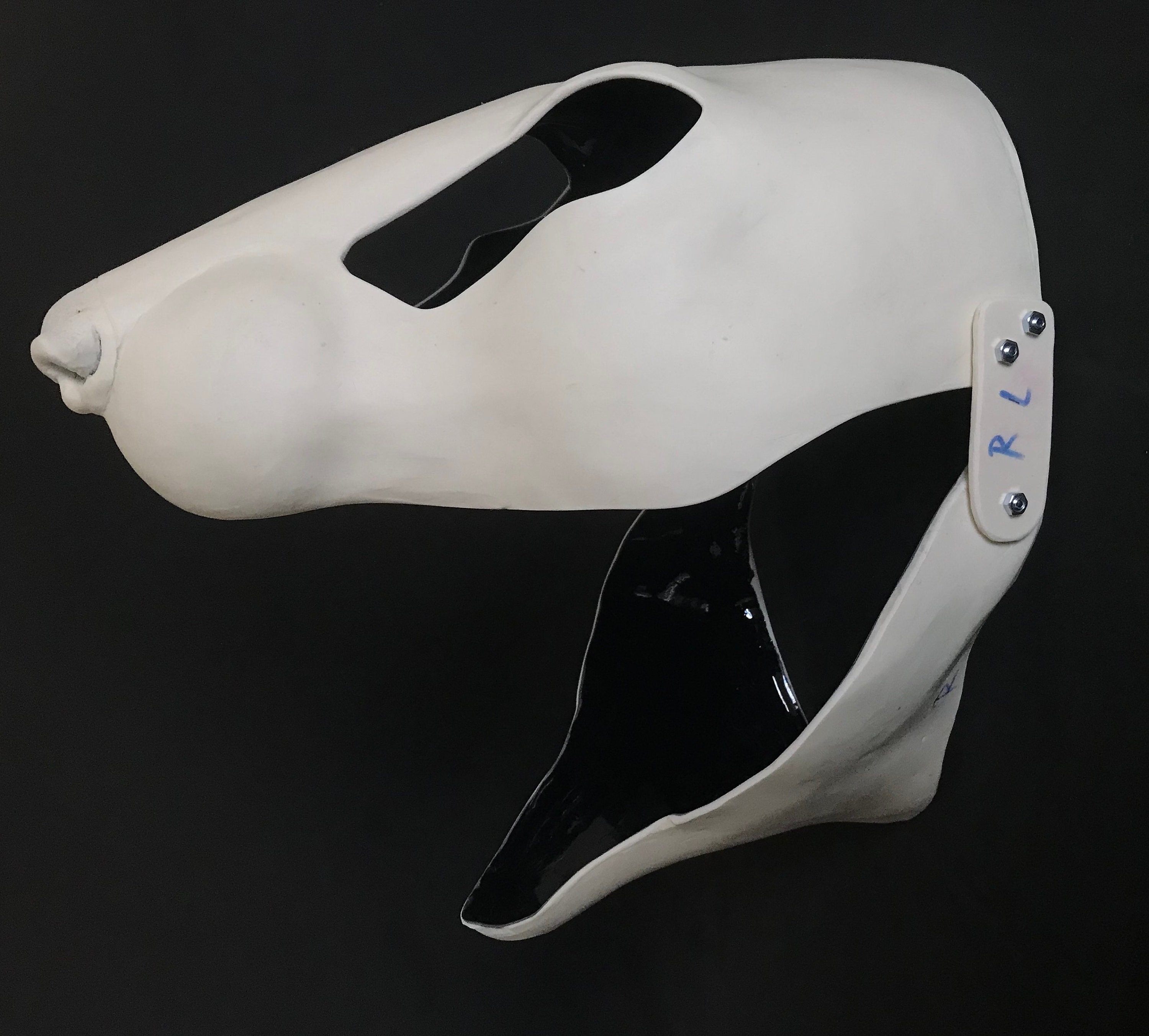 DIY FULL SET Realistic Rodent Resin Head Base With Accessories / Ideal ...