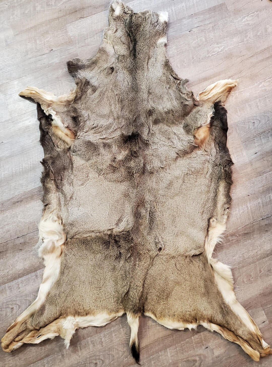Mule Deer Hide - Etsy