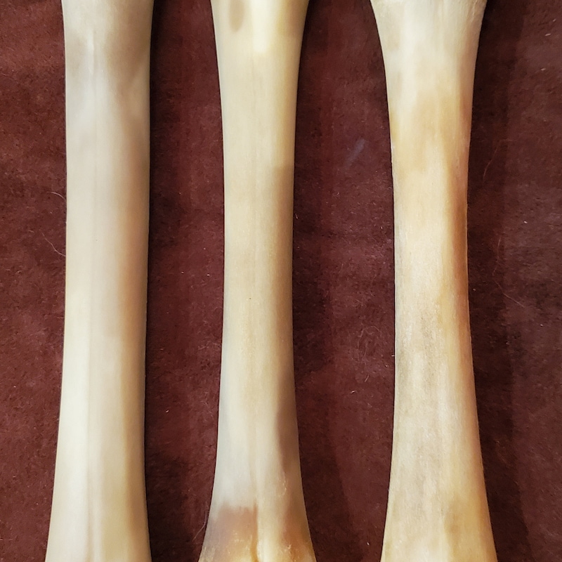 Bone - Etsy