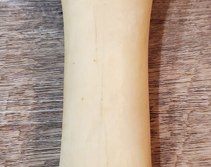 Bison Leg Bone Metacarpal - Etsy