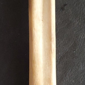Elk Leg Bone - Etsy