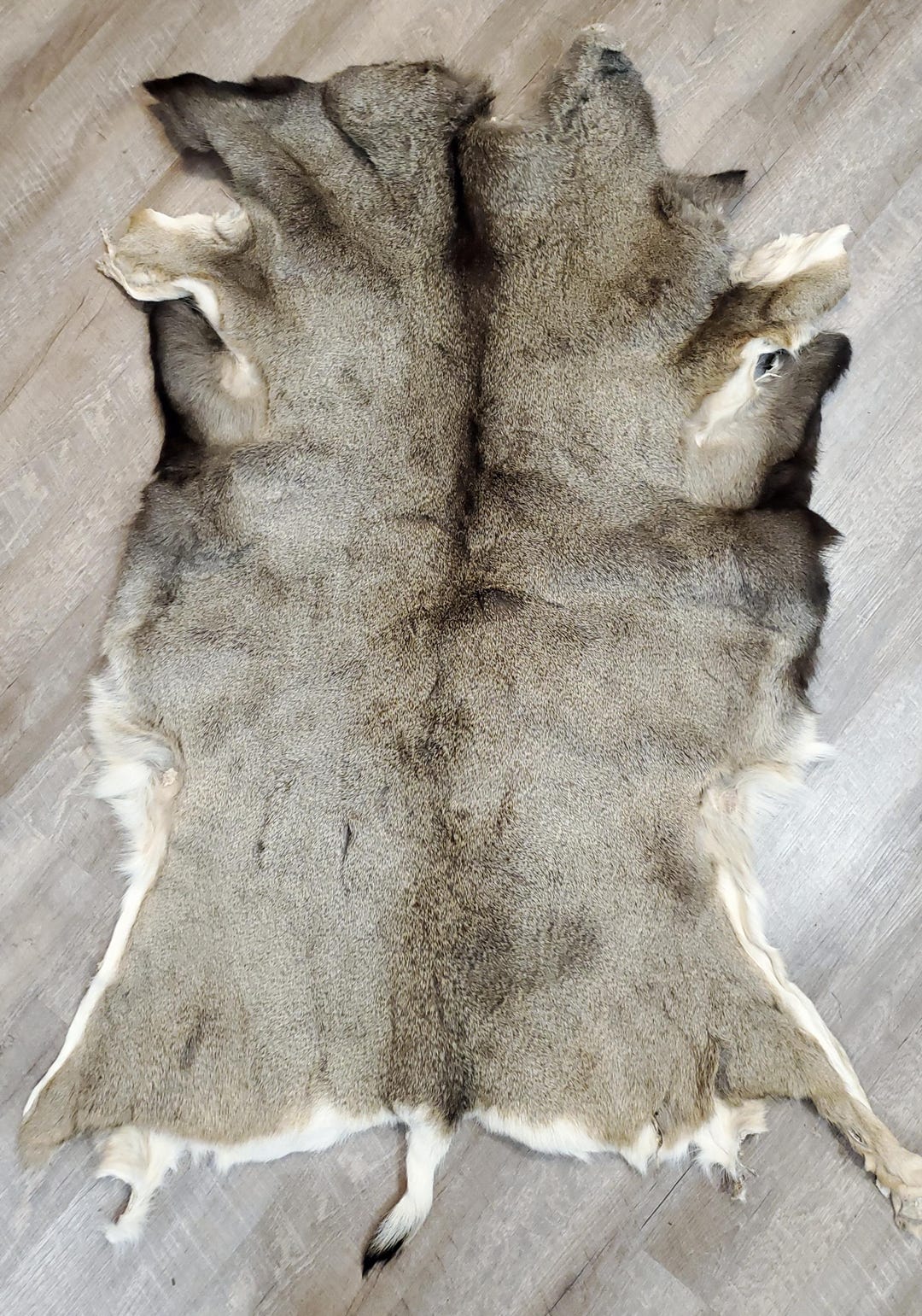 Mule Deer Hide - Etsy