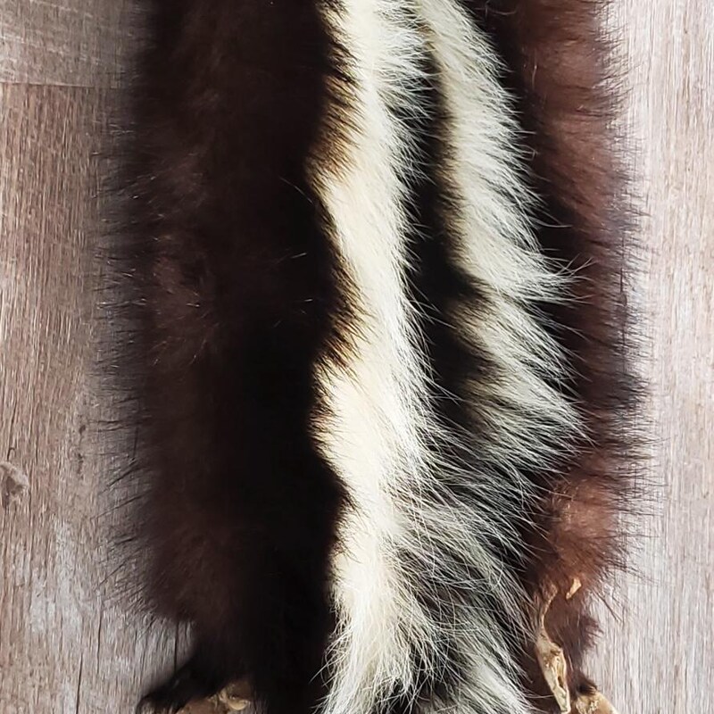 Skunk Tail - Etsy
