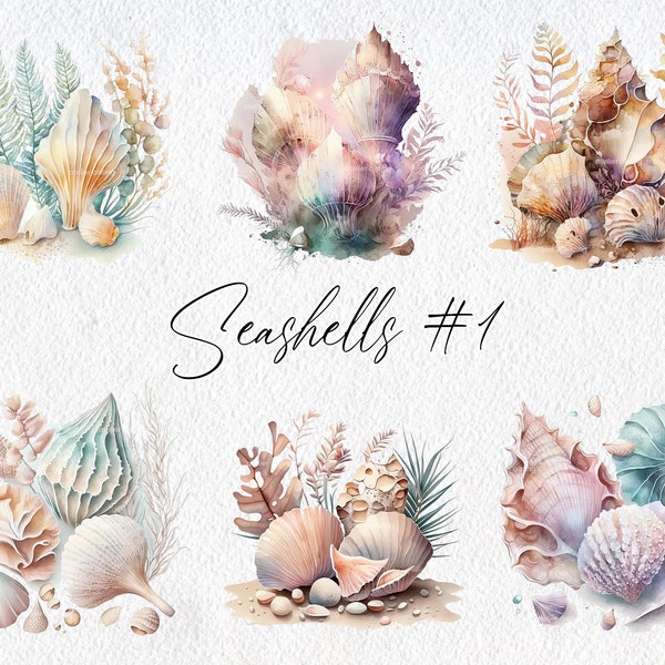Shell Clipart - Etsy