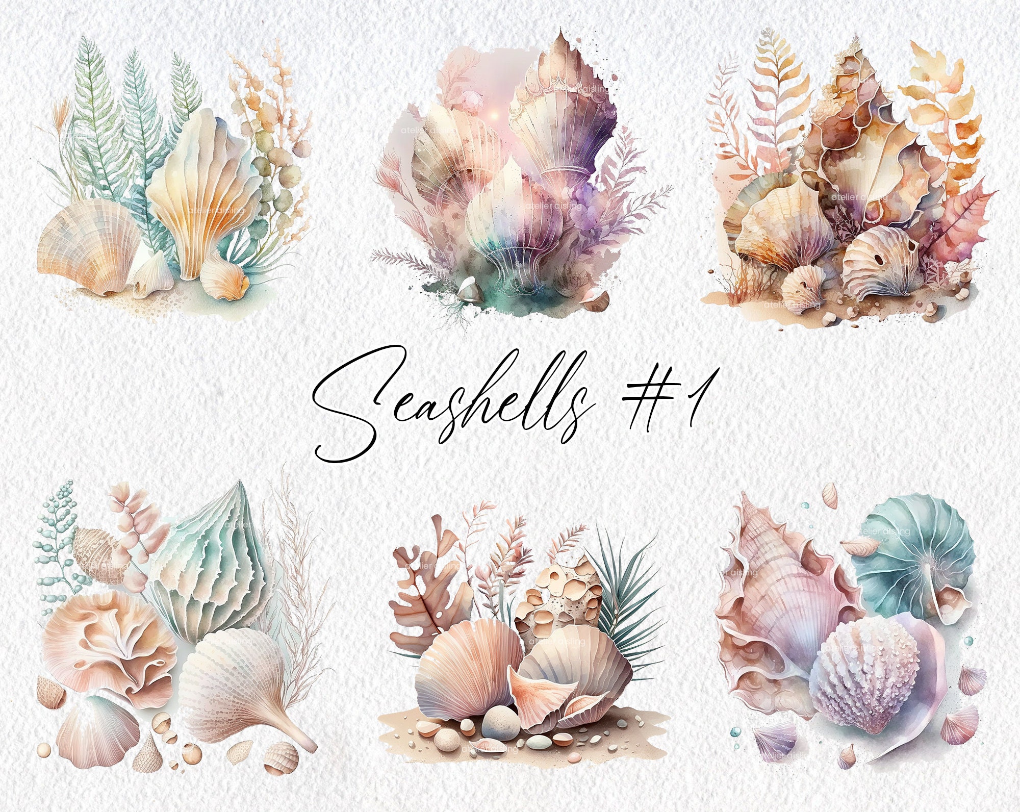 Cute Watercolor Seashell Scenes, Volume 1, Commercial Use Clipart ...