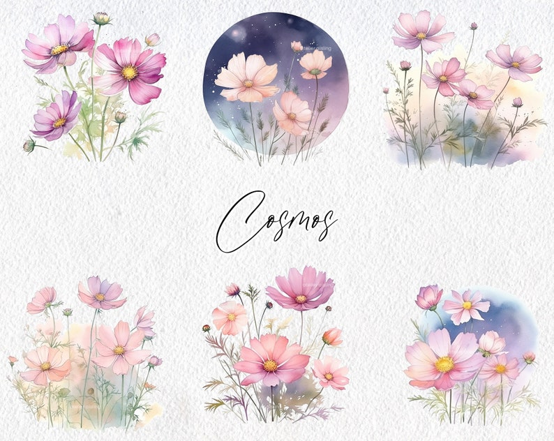 Cute Watercolor Cosmos Scenes, Commercial Use Clipart, Flower Clipart ...